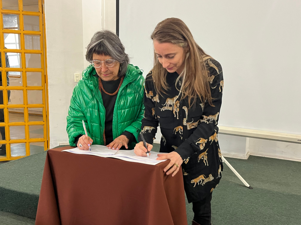 CRTIC y Balmaceda Arte Joven unen fuerzas para impulsar el talento ...